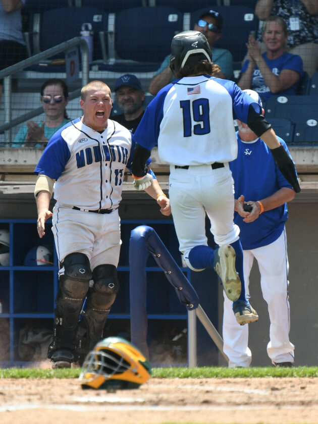 Wyalusing takes District 4 title, but South baseball not finished ...